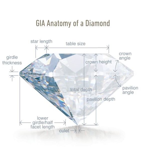 Diamond Anatomy - Sarkisians Jewelry